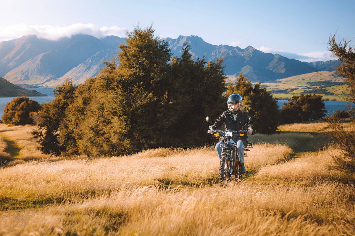Discovering Hidden Gems: Washington's Untamed Forest Trails | UBCO ...